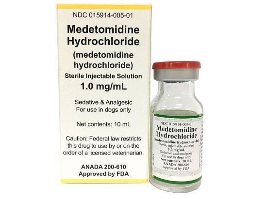 What is Domitor and its Clinical Pharmacology? - FAQ - Guidechem