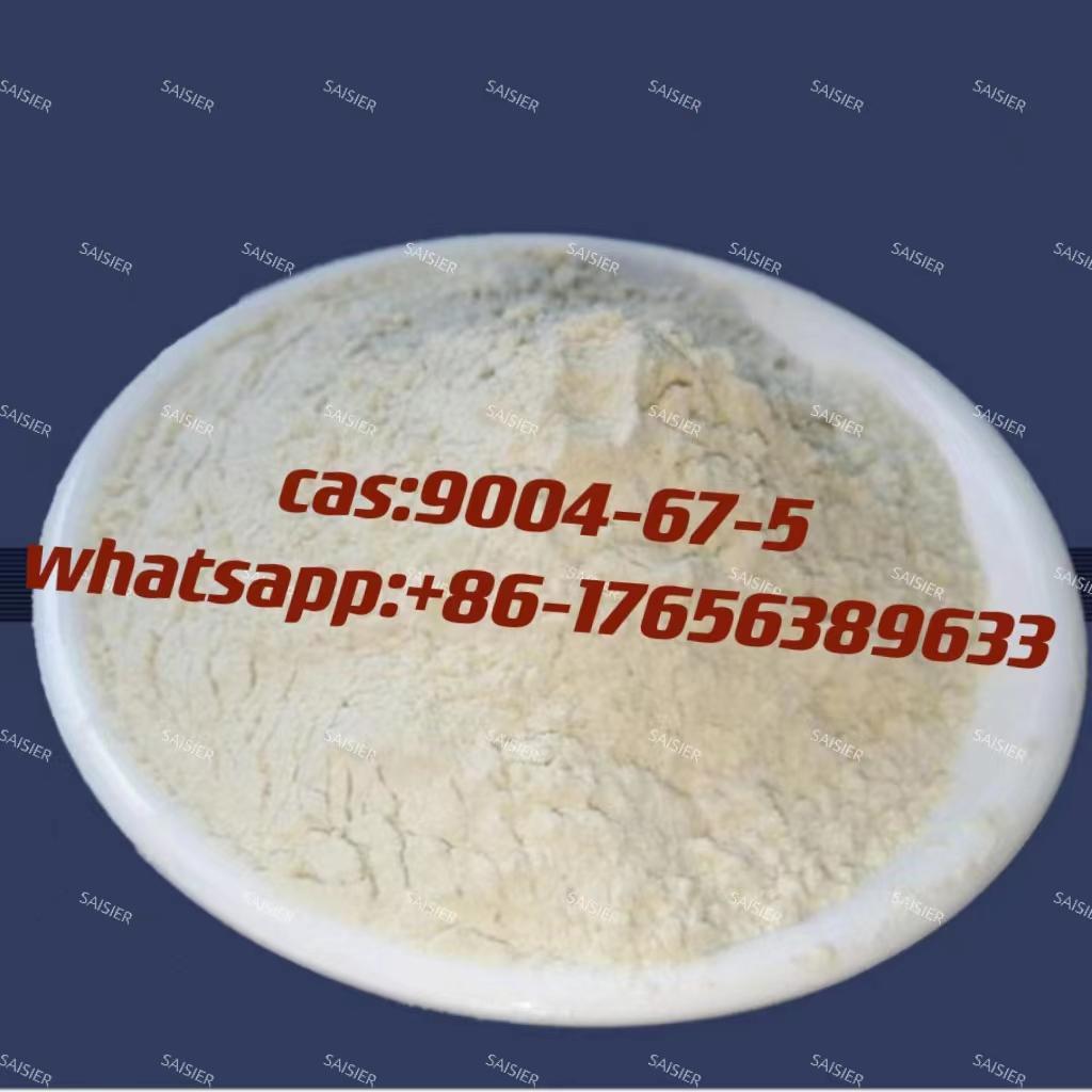 The Ultimate Guide to Methyl Cellulose in Food