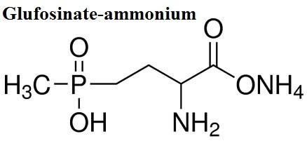 Glufosinate ammonium 77182-82-2 wiki