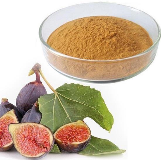Ficin froM Fig Tree Latex 9001-33-6 wiki