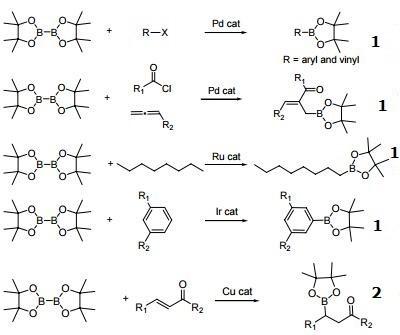 Bis(pinacolato)diboron 73183-34-3 wiki